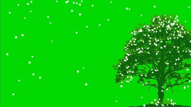 ?ДЕРЕВО В ОГНЯХ. Футаж. Хромакей. Зелёный экран. Chroma Key. Green Screen..mp4