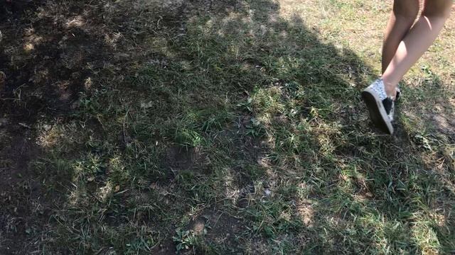 Как дети учили шпица Кроша приносить мячик