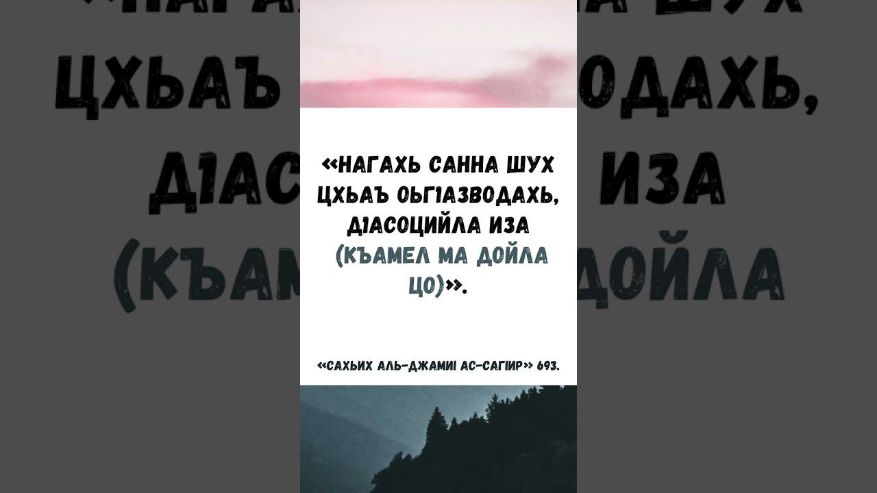 «Нагахь санна шух цхьаъ оьгlазводахь, дlасоцийла иза». || ДИН ДОВЗАР #суннат#хьехам