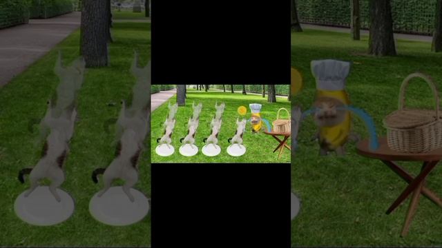 Banana cat угостил друзей вкусняшками :3