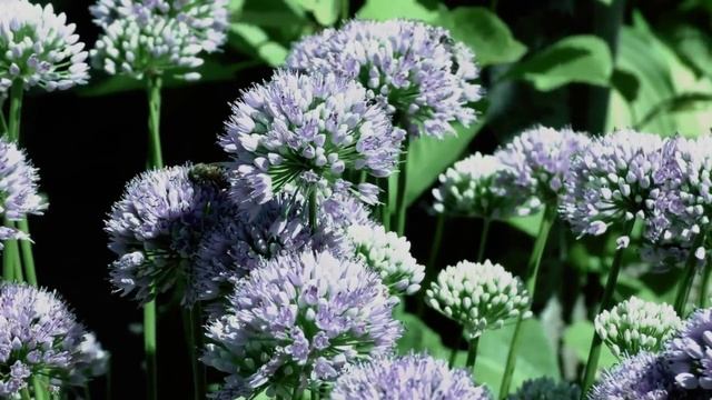 С ДОБРЫМ УТРОМ???С НОВЫМ ДНЁМ???!