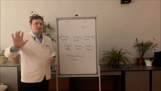 Жир в теле женщины и её красота!