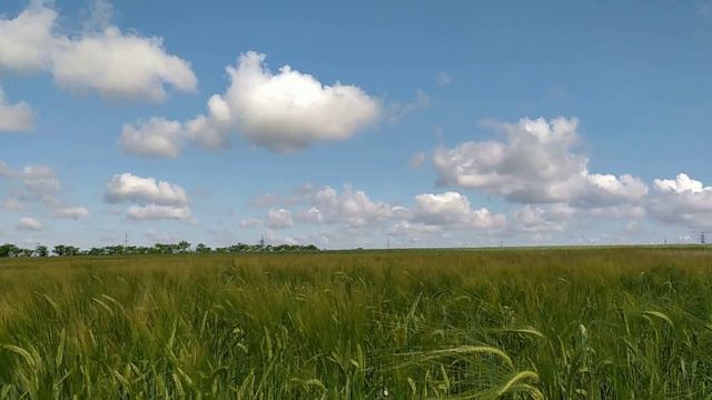 Прекрасные окрестности и контекст моего сада и места обитания