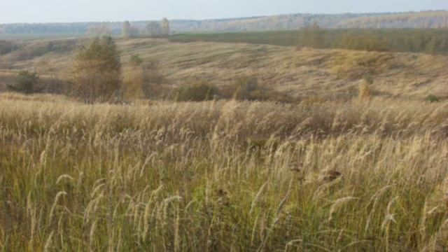 осень в Керженском заповеднике