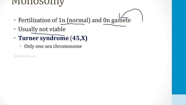 Генетика USMLE - 1. Генетические концепции - 3.Мейоз