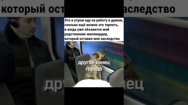 Сегодня начинается продажа мест на новый поток Курса Телеграм с нуля🚀 #светагранат #обучение