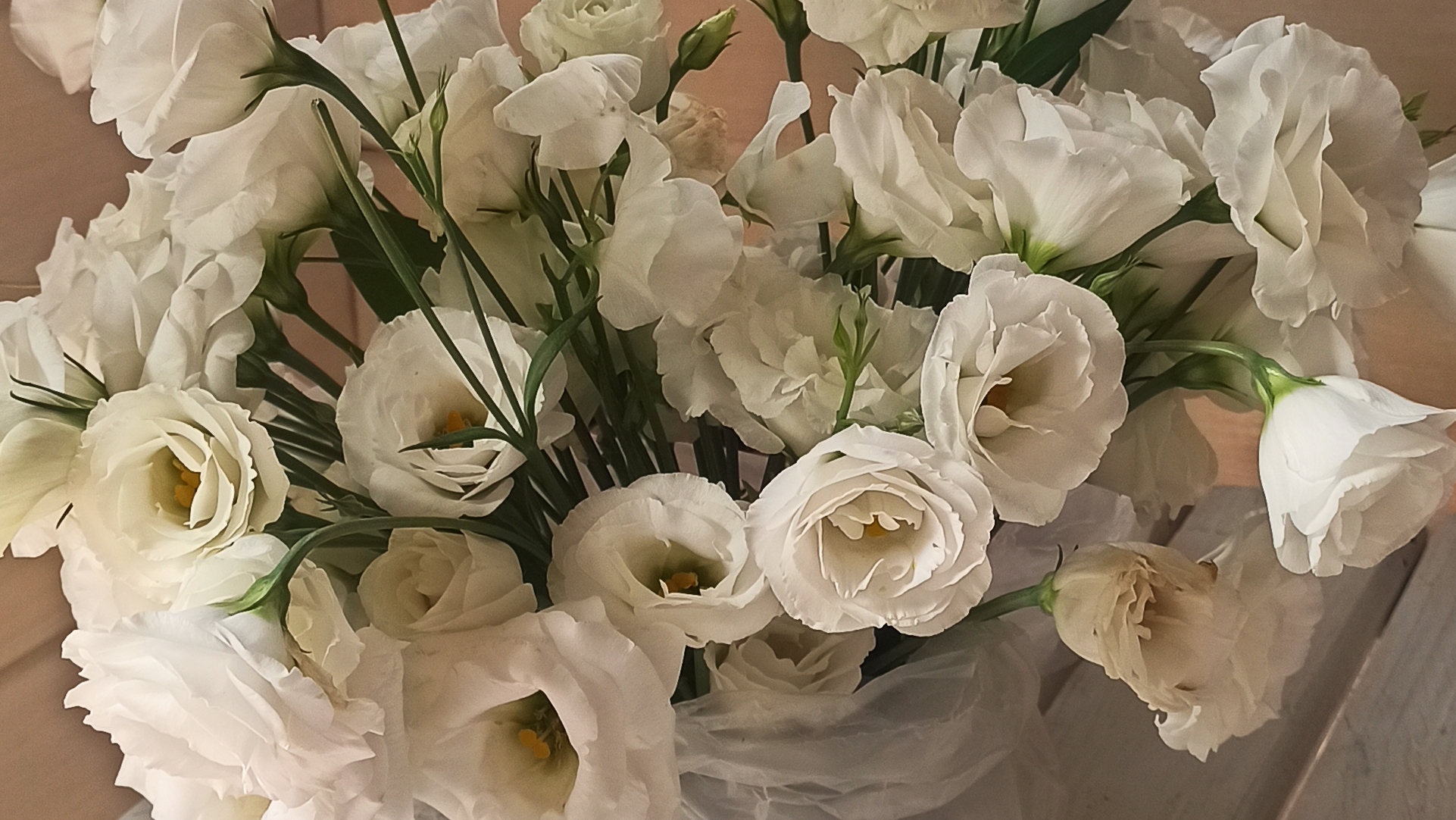 Душевный покой