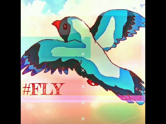 #Fly · Max Ricco · Ivan Malinovsky (AUDIO)