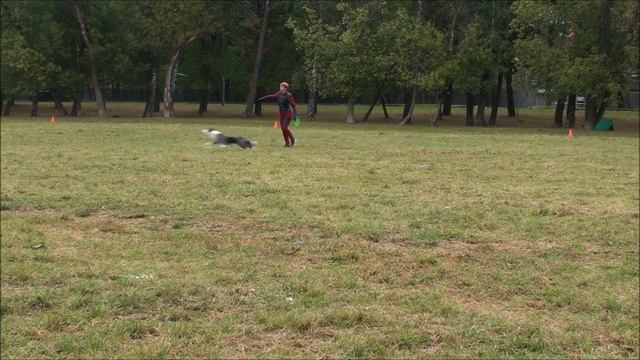 USDDN WF QUALIFIER Ольга и Манго R3.mp4