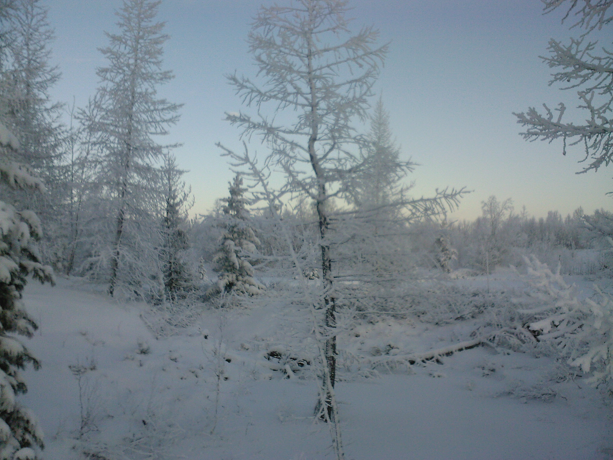 УФА-ПЕРВЫЙ ДЕНЬ ЗИМЫ