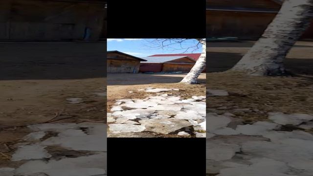 Раскалываем лёд в деревне часть 3