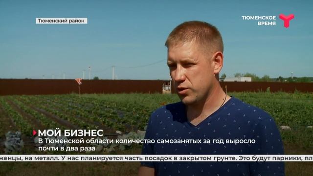 Самозанятые Тюменской области