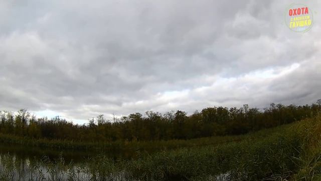 (18 ) ОХОТА В ДВА ЭТАПА (фазан - утка) осень 2017.mp4