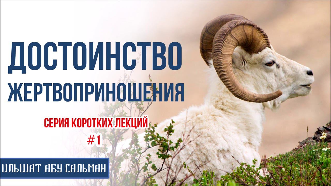 Ильшат Абу Сальман. Достоинство Жертвоприношения. Серия лекций Курбан-Байрам