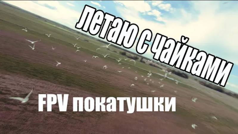 Полетушки-покатушки (IFlight Cidora SL5)