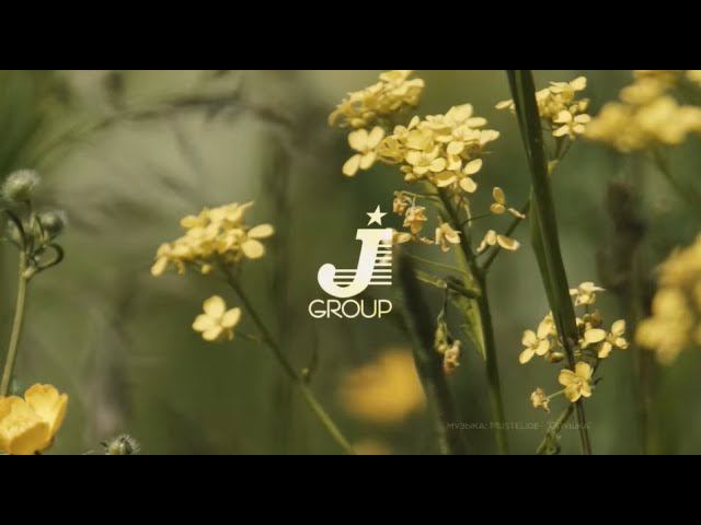 Дикая Мята 2017. Official aftermovie