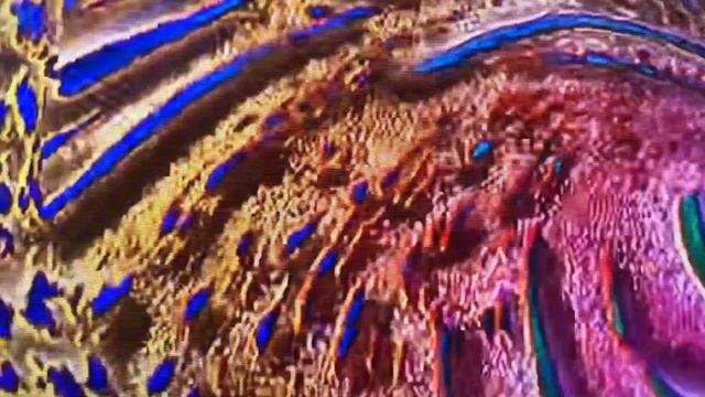 #Расслабление# восстановление организма, отдых