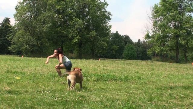 Кубок Клуба. Frisbee Battle. Гудвин vs Барс..mp4