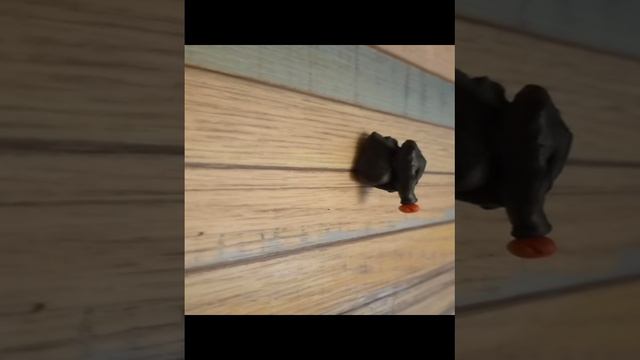 VID_20240824_110637.mp4