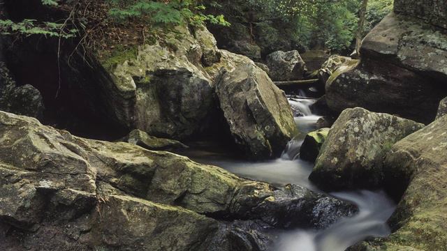 Весенняя песня