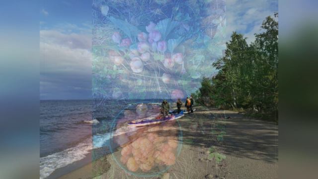 Сплав 2021. Умба. Хронология