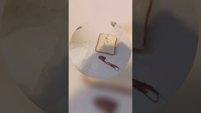 РАННЕЕ ДОБРОЕ УТРО / PARADEEV1CH