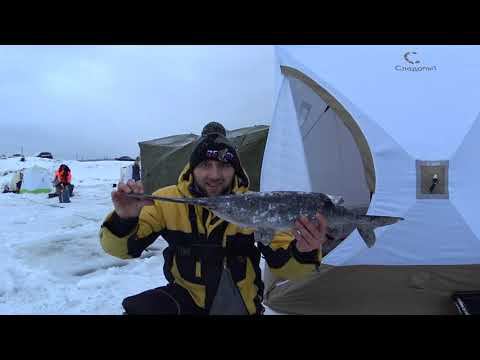 Зимняя рыбалка. Моя первая рыба. Ловля осетровых рыб.