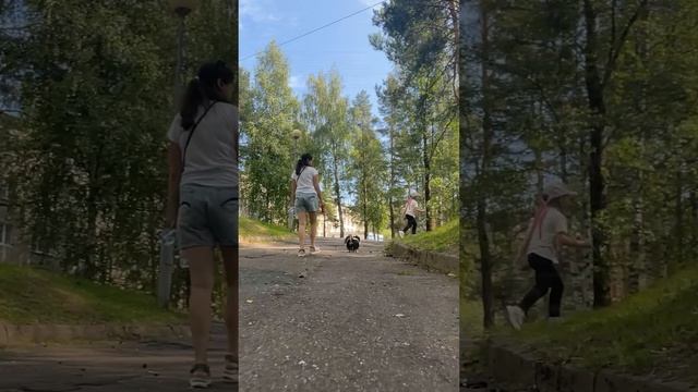 И снится нам