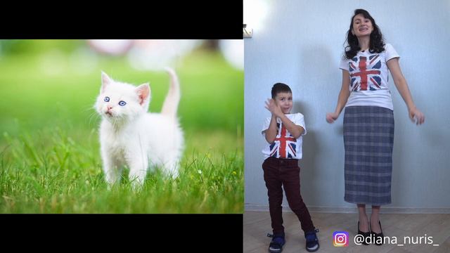 Урок 5 (Часть 2) Животные на английском Learn animals in English