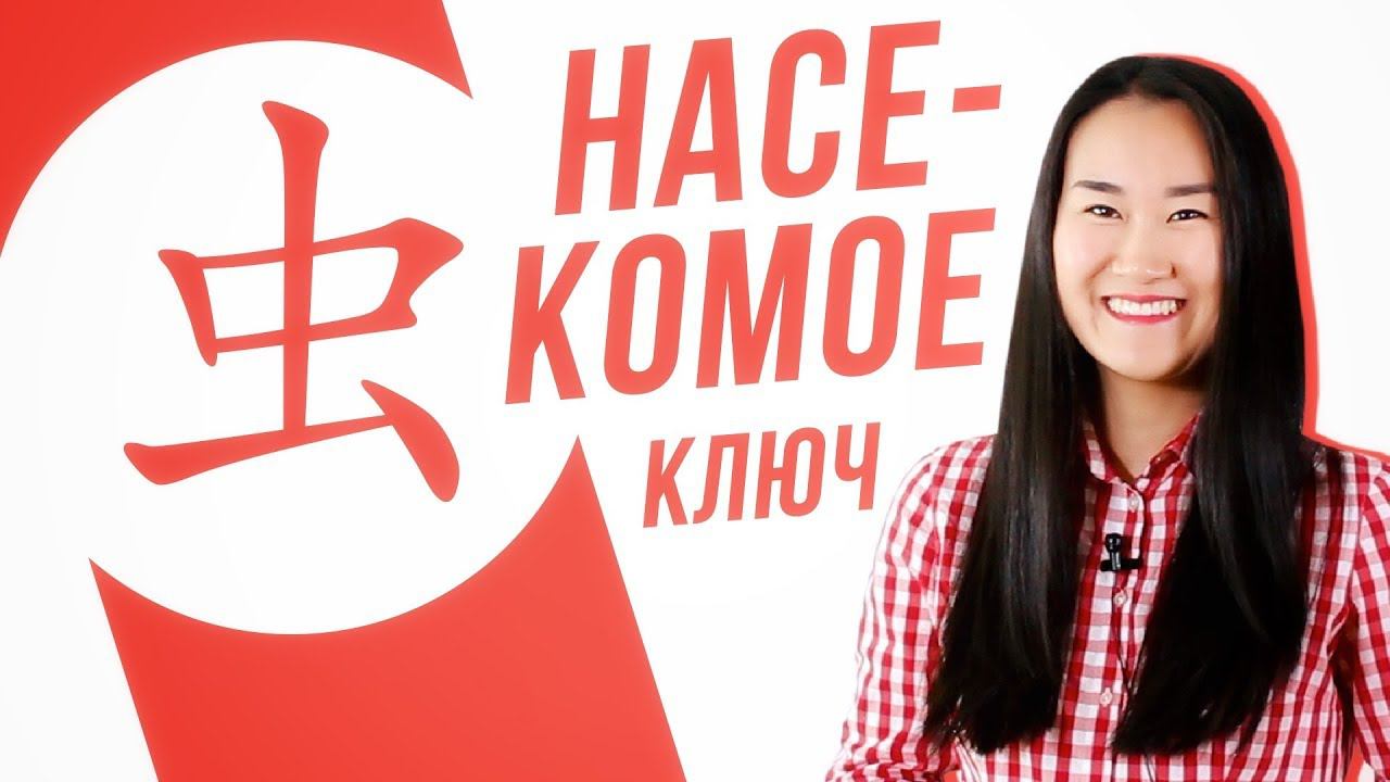 Ключевые иероглифы #14: 虫 (насекомое)  УЧУ КИТАЙСКИЙ ЯЗЫК ✌ Школа Динары Мин ✌