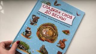 Сюзанна Риха_ Сладких снов до весны!