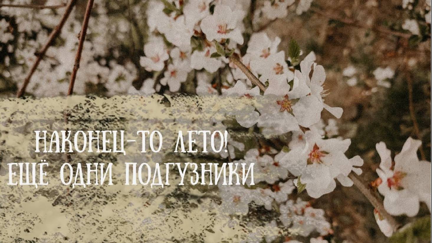 Купание и уход за мдаденцем I Новые подгузники