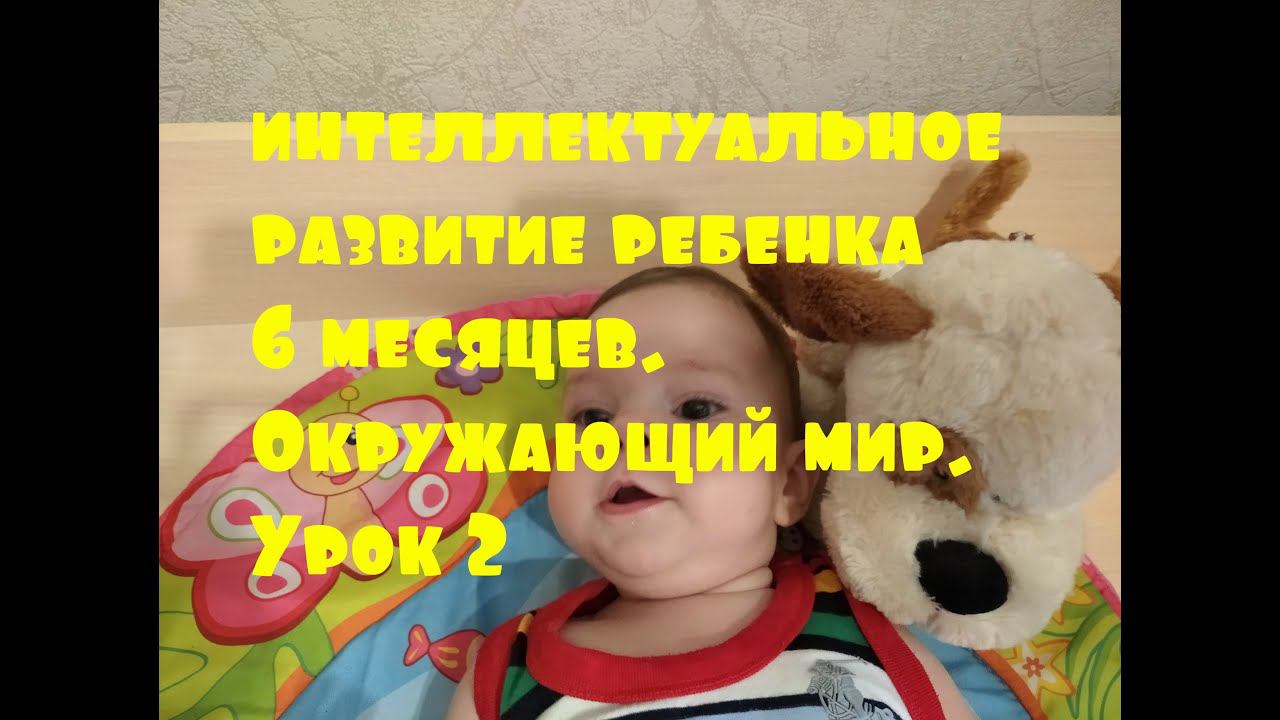 Интеллектуальное развитие ребенка 6 месяцев. Окружающий мир. Урок 2