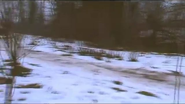 На дистанции четверка первачей