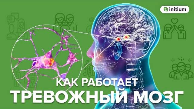 Как работает тревожный мозг | Как психологические травмы влияют на работу мозга