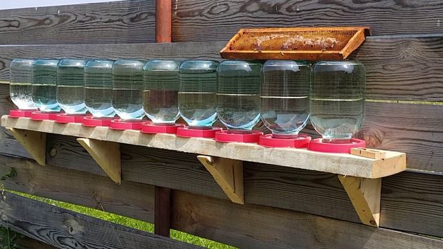 Поилки для пчел (20190728134553  Поилки)