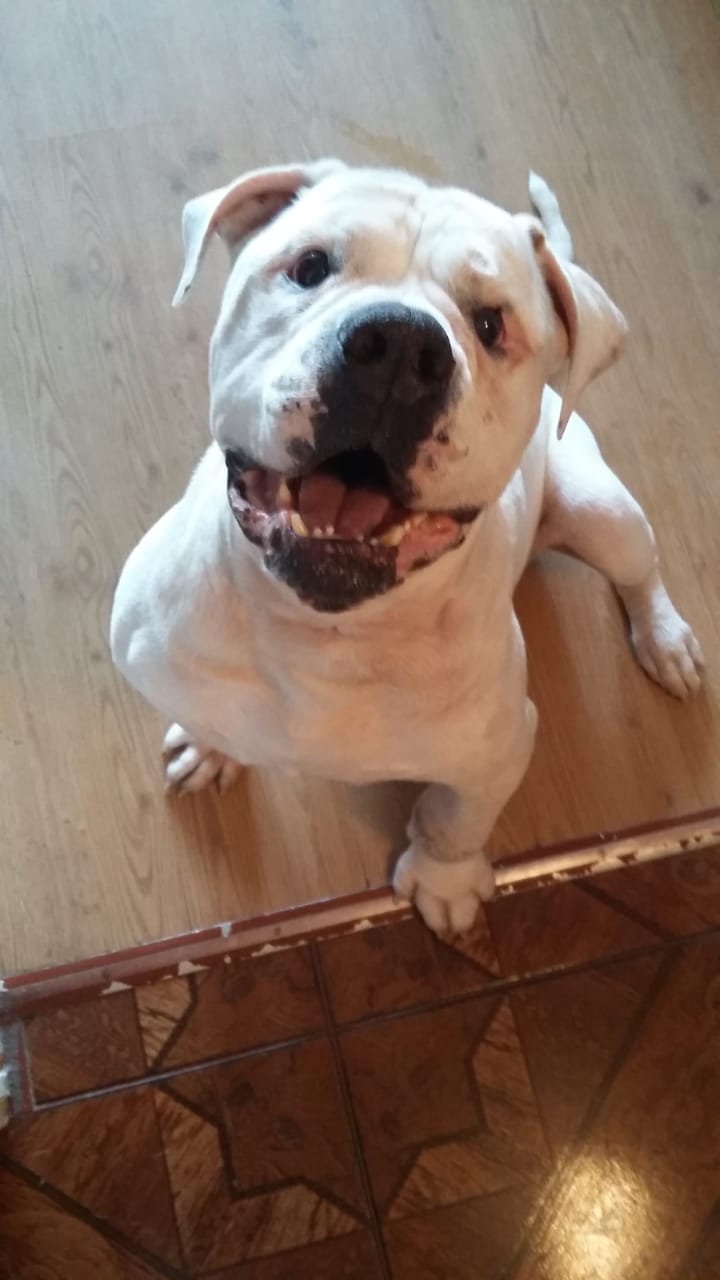 Дуглас Лучший