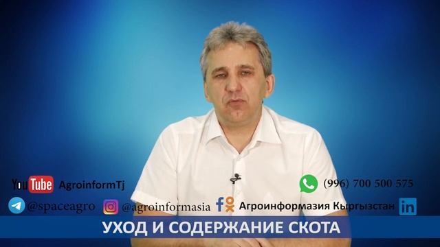 9 выпуск Уход и содержание скота