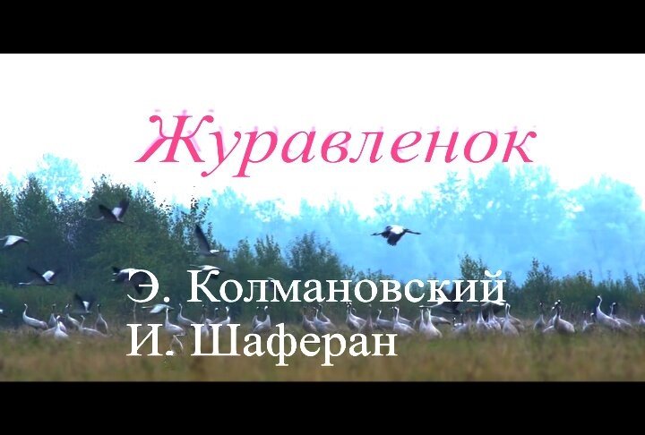 Журавленок.mp4