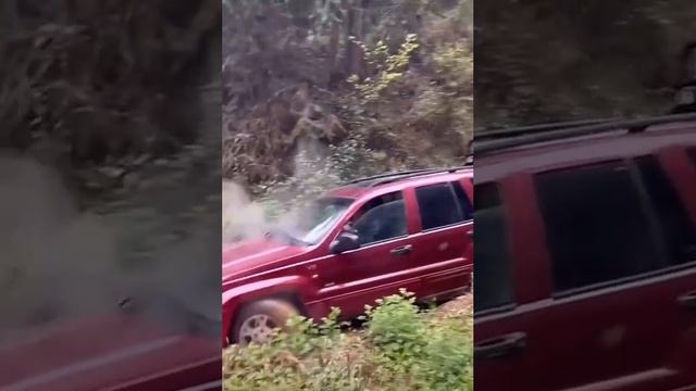 Толкни меня нежно? (Прикольный юмор)