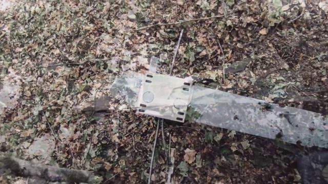 Эхо 2й и 3й мировой войны