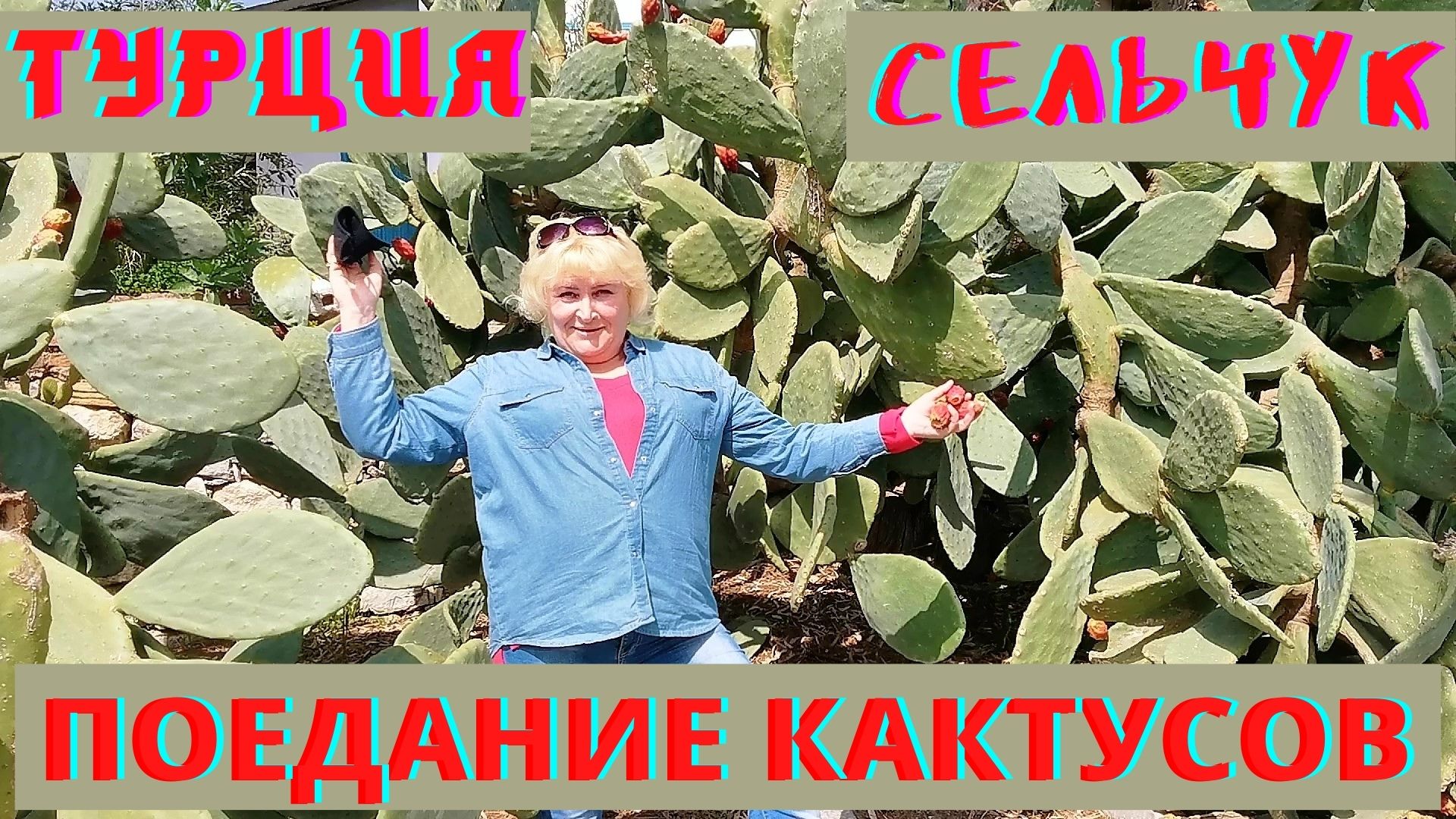 Турция, город Сельчук/ Как мы ели кактусы