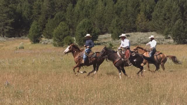 Игорь Чернявский песня Может и нет любви