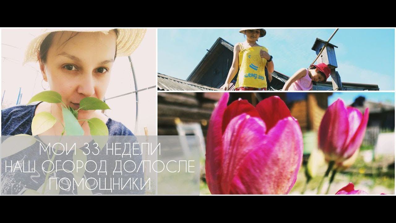 Мои 33 недели⚡️Беременность огороду не помеха⚡️Что у нас получилось? Борьба с травой - ДО/ПОСЛЕ