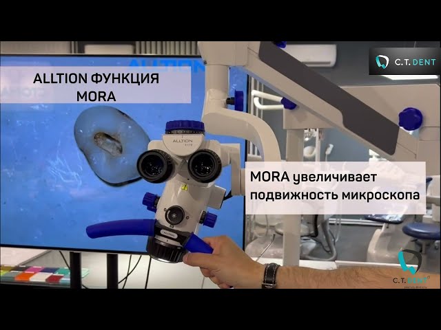 ALLTION ФУНКЦИЯ - MORA