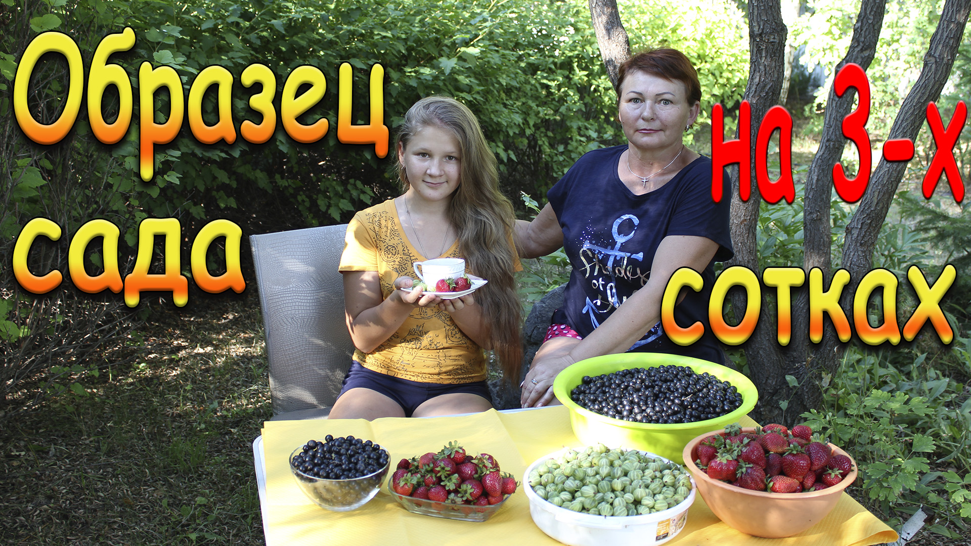 Образец сада на 3-х сотках