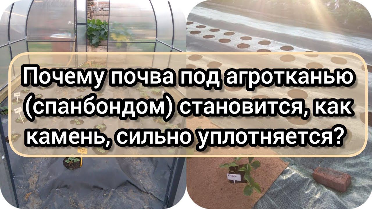 Почему почва под агротканью (спанбондом) становится, как камень, сильно уплотняется?