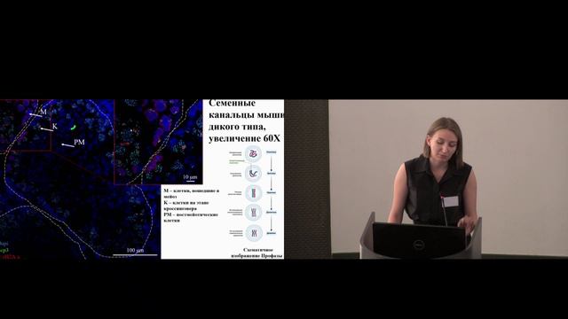 9. Использование технологии 10X Genomics секвенирования РНК одиночных клеток