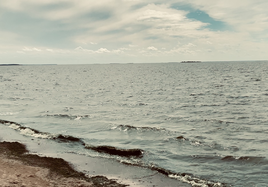 Я НА ПЛЯЖЕ | ФИНСКИЙ ЗАЛИВ | СМОТРОВАЯ ПЛОЩАДКА | РЕПИНО | САНКТ-ПЕТЕРБУРГ