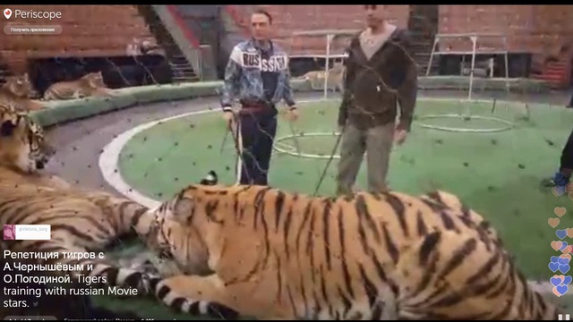 Перископ А.Запашного - Репетиция с Чернышовым и Погодиной 2016-03-25